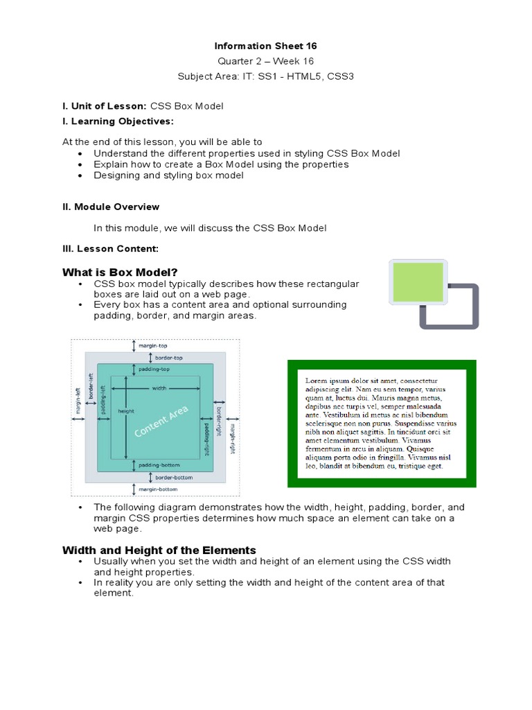 SS1 Week 16 CSS Box Model | PDF | Software Engineering | Software Development