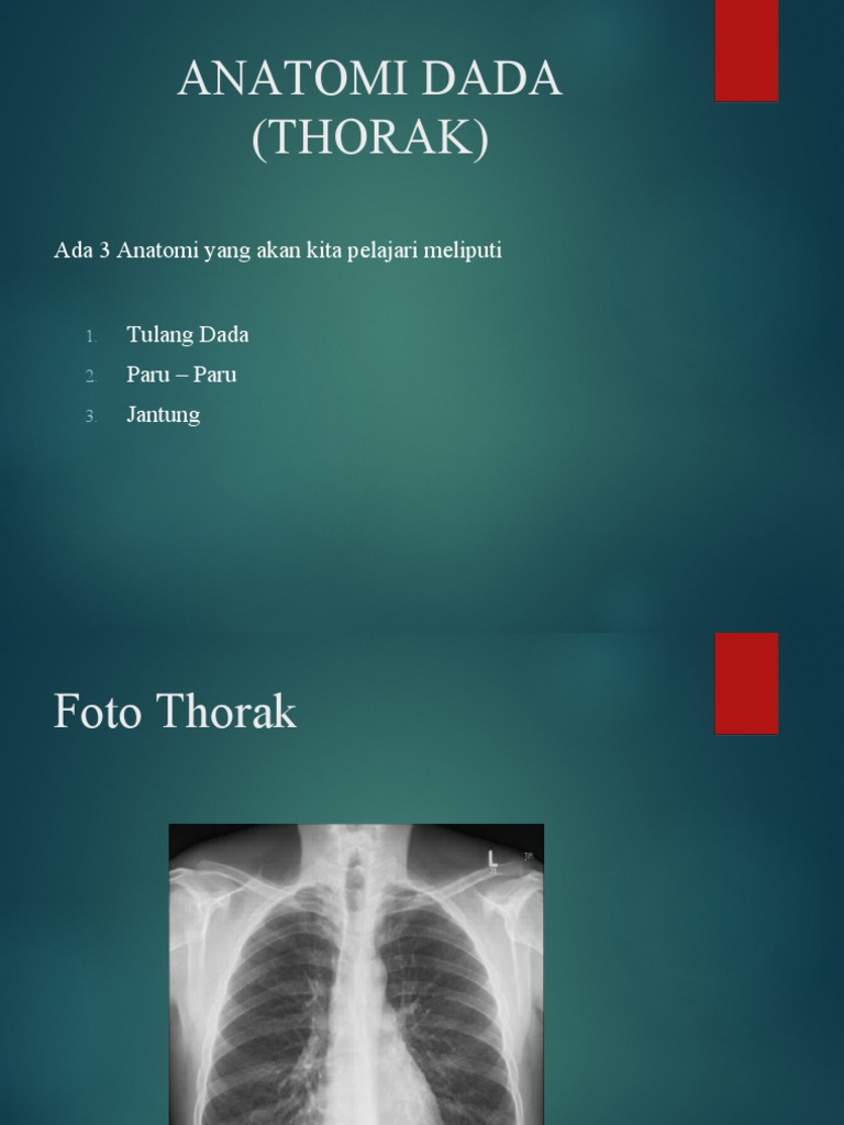 Anatomi Dada (Thorak) | PDF