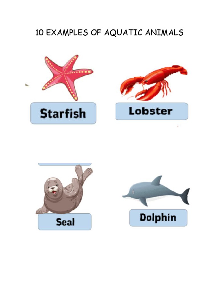 10 Examples of Aquatic Animals | PDF | Art | Science & Mathematics