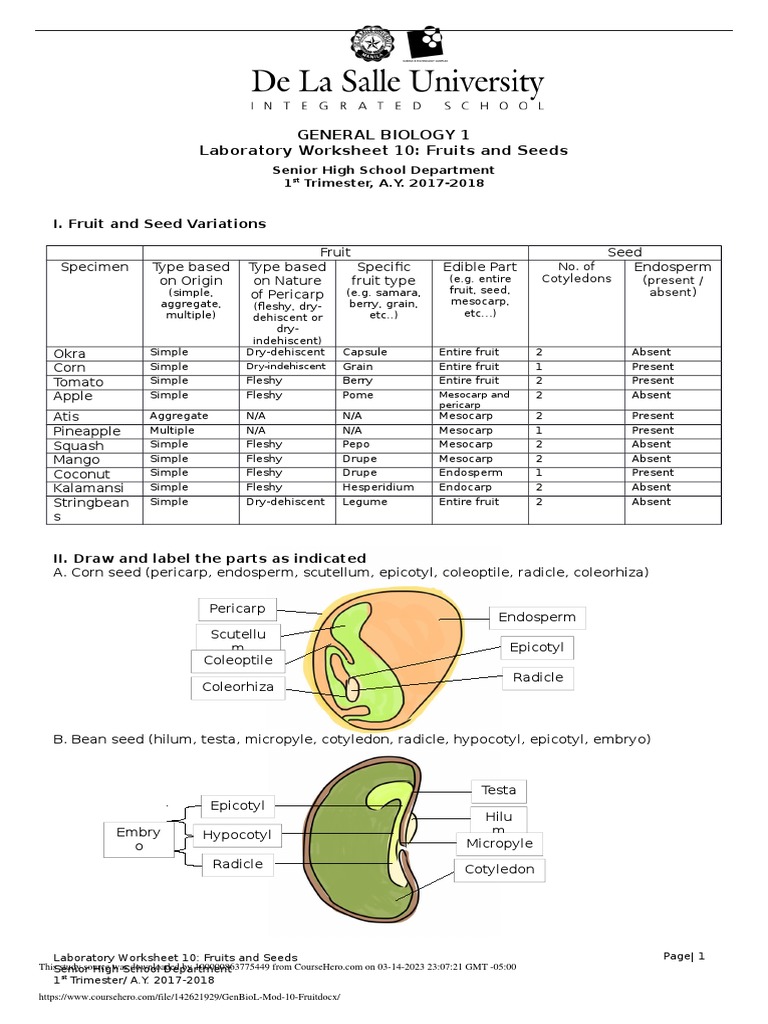 GenBioL Mod 10 Fruit | PDF | Fruit | Seed