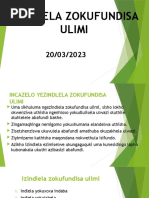 IsiZulu Lesson Plan | PDF