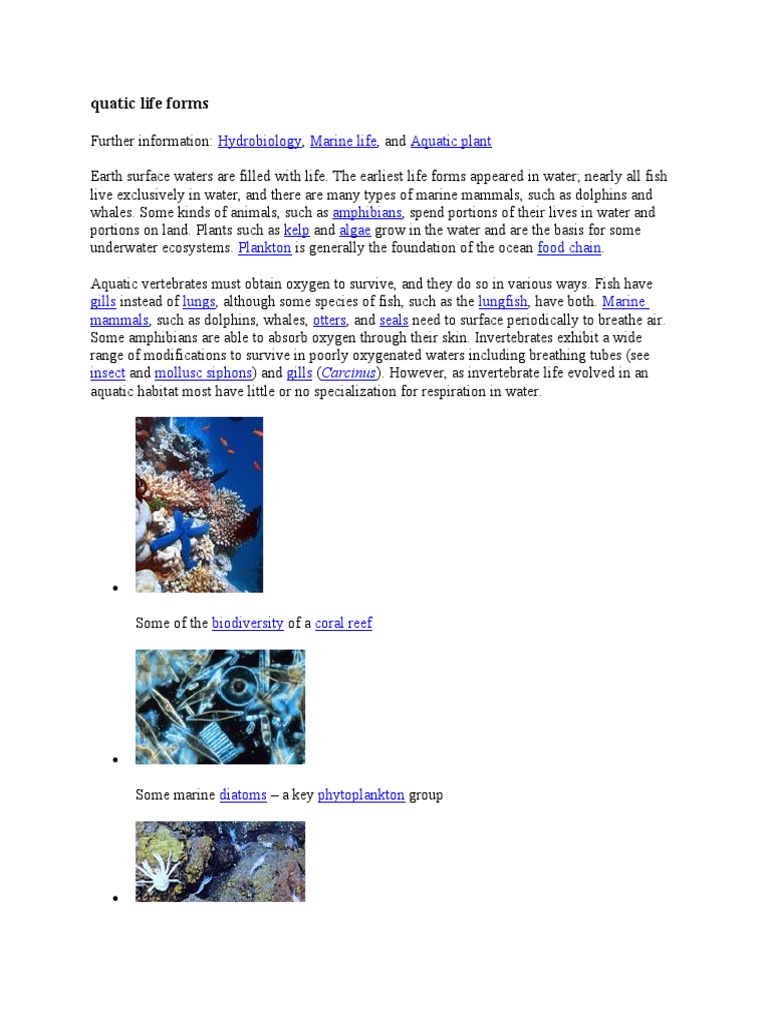 Quatic Life Forms: Hydrobiology Marine Life Aquatic Plant | PDF | Water ...