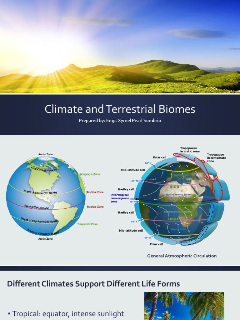 Lesson 2. Climate and Terrestrial Biomes | PDF | Forests | Savanna