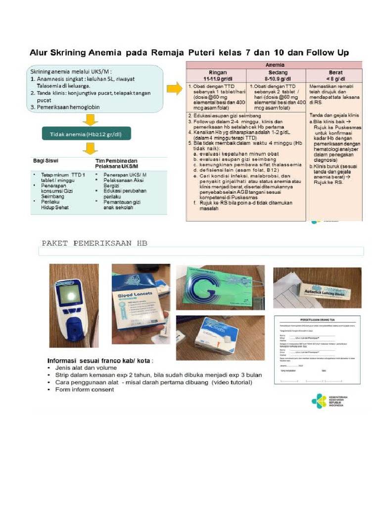 Alur Skrining Anemia | PDF
