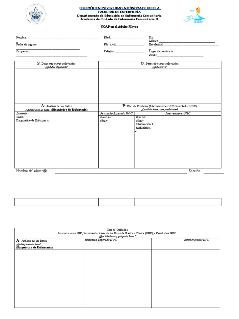 Formato Soap 2019 | PDF | Enfermería | Programas sociales
