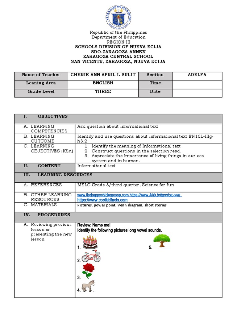 Lesson Plan Ko For Cot Final | PDF | Dolphin | Frog