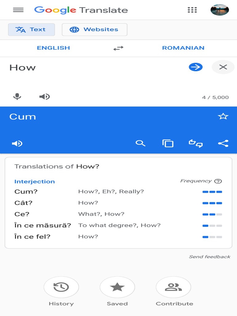 Google Translate PDF | PDF
