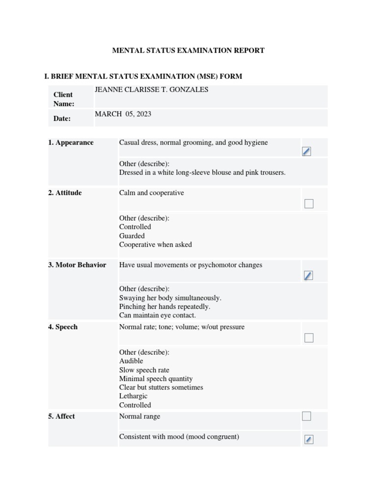 Soquiat - Mse Report | PDF | Mental Health | Emotions