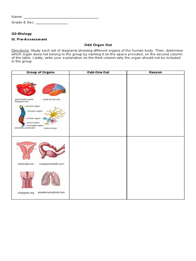Biology Pre-Assessment Task | PDF