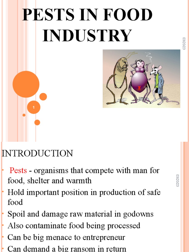 FPL - 12 Pests in Food Industry | PDF | Pest (Organism) | Rodent