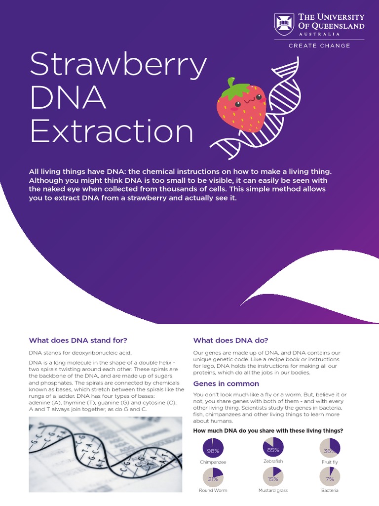 Strawberry DNA Extraction | PDF | Dna | Gene