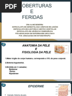 Aula LPP | PDF | Pele | Necrose