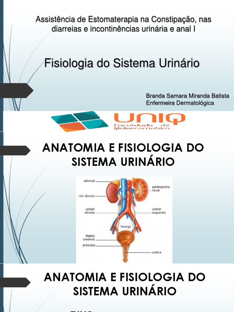 Sistema Urinário | PDF | Micção | Bexiga urinária