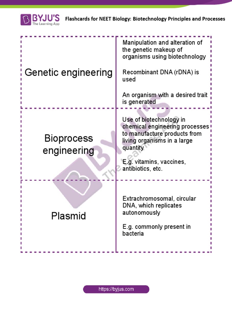 NEET Biology: Biotech Principles | PDF | Recombinant Dna | Restriction Enzyme