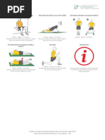 GUIA N°2 Ejercicios de Burger All | PDF | Trombo | Sistema circulatorio