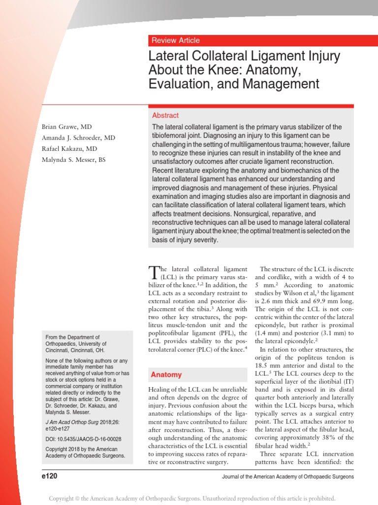 Lateral Collateral Ligament Injury | PDF | Knee | Limbs (Anatomy)