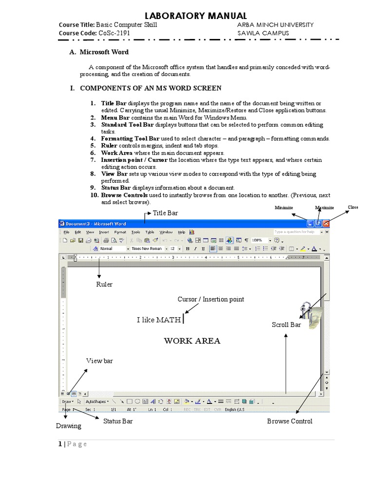 Basic Computer Skill | PDF | Spreadsheet | Microsoft Word