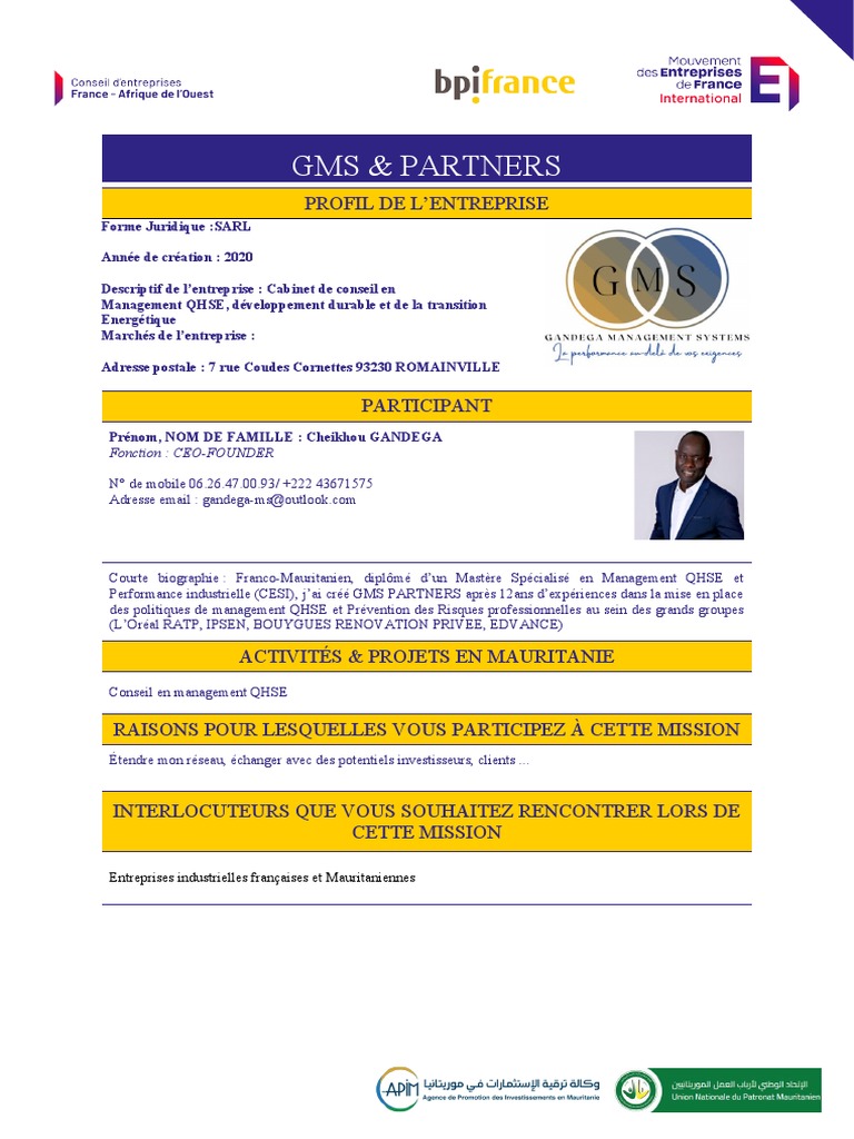 MAU - Fiche-Entreprise - GMS Partners (C) | PDF | Évolution de carrière ...