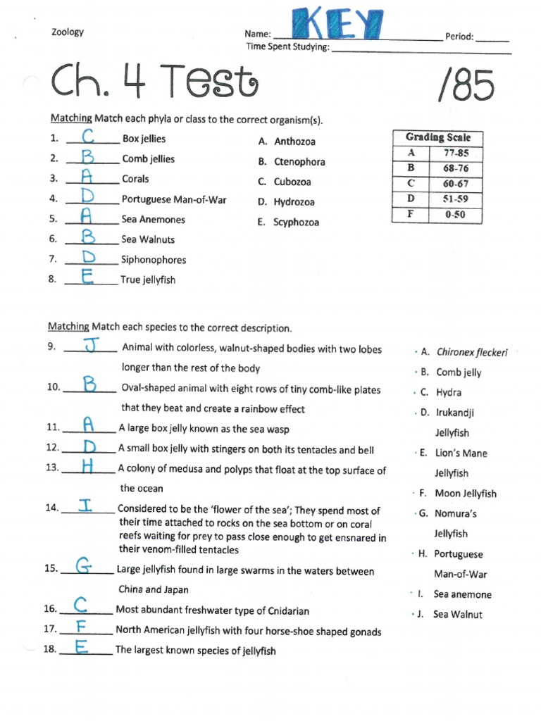 4 - Cnidaria Ctenophora Test - Teacher Key | PDF