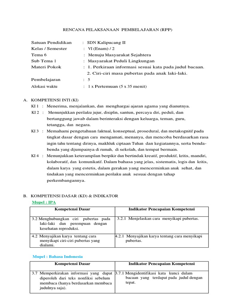 RPP Pubertas | PDF | Kesehatan Holistik