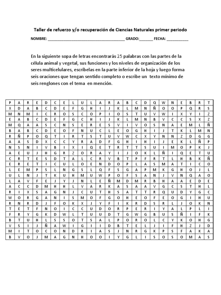 Sopa de Letras: Partes de la Célula | PDF | Biología