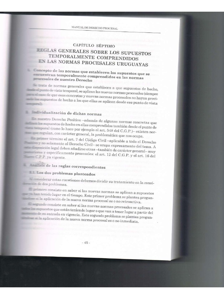 Abal Manual de Derecho Procesal | PDF