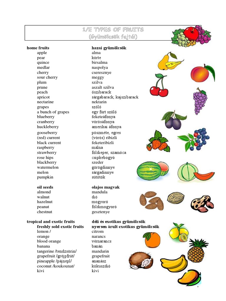 Fruits Vocabulary | PDF