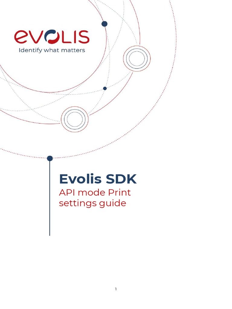 API Mode Print Settings Guide | PDF | Printer (Computing) | Software Development