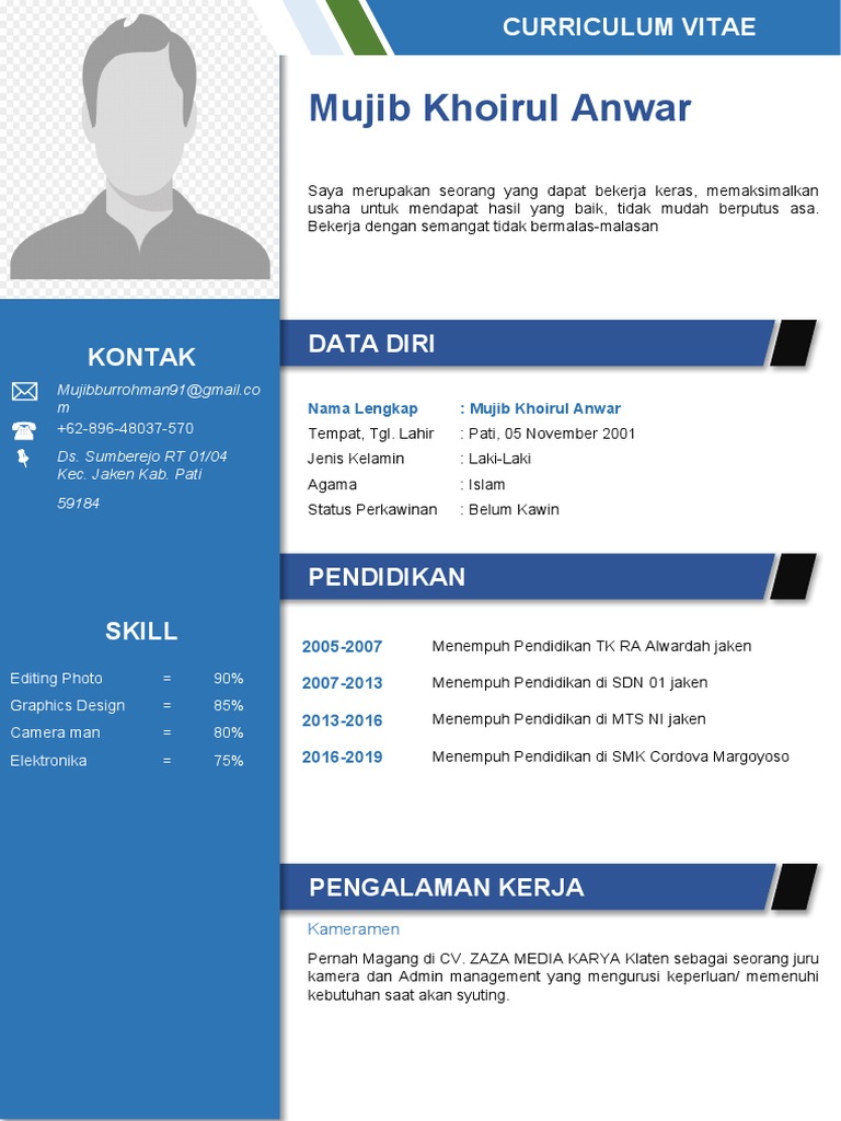 (Ndondon - Net) Contoh CV Professional | PDF