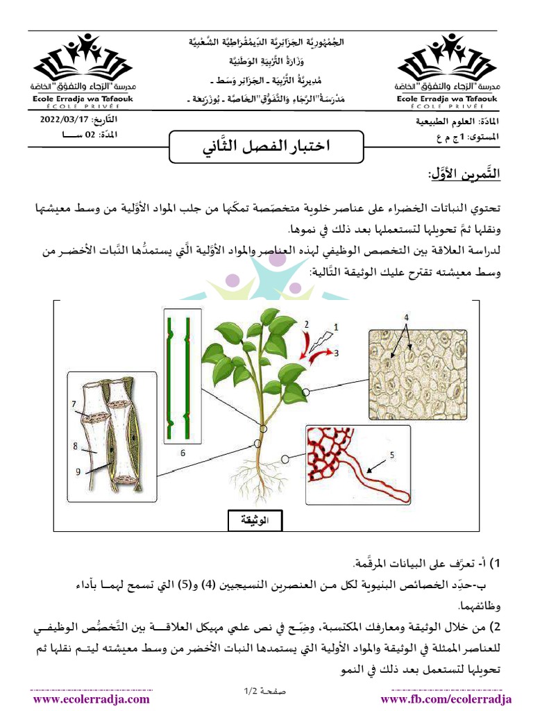 Dzexams 1as Sciences 801369 1 PDF | PDF