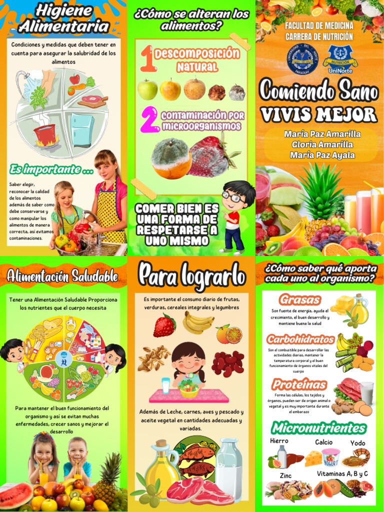 Tríptico PDF | PDF | Alimentos | Nutrición