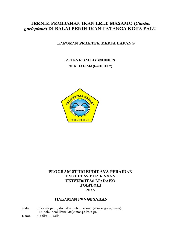 Laporan PKL Pemijahan Ikan Lele | PDF