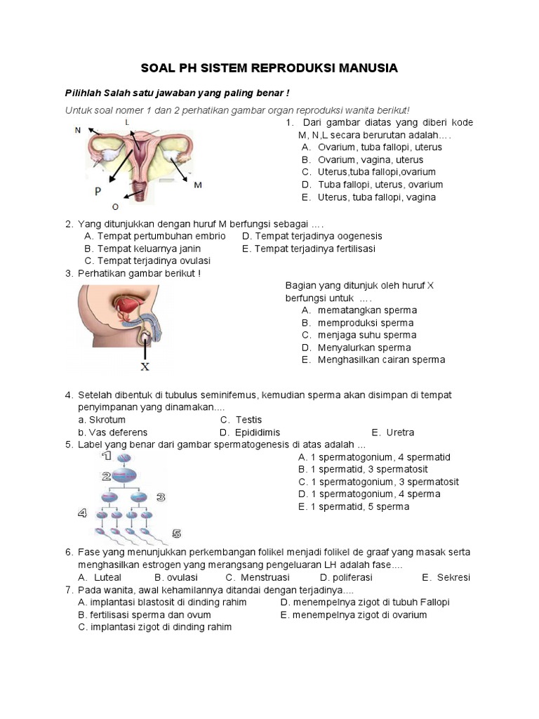 Soal PH Sistem Reproduksi | PDF