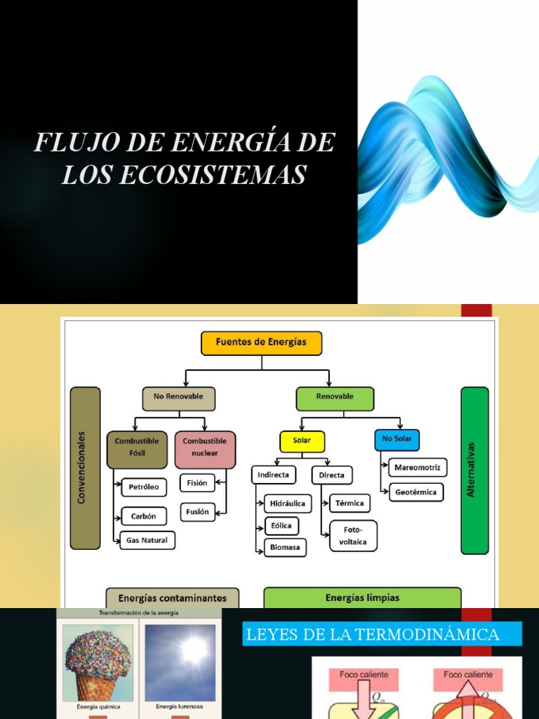 Flujo de Energía de Los Ecosistemas 13 | PDF | Depredación | Ecología