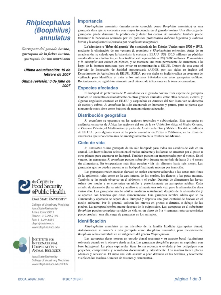 Boophilus Annulatus-Es PDF | PDF | Organismos