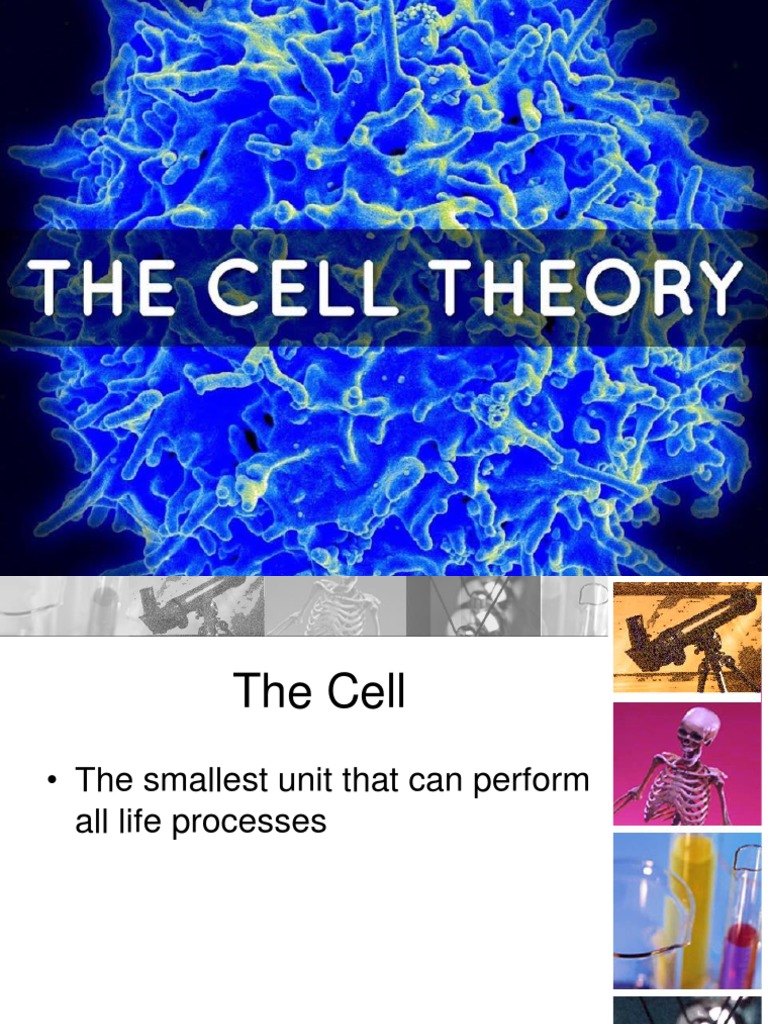 The Cell and Cell Theory (Week 1) For Special Summer | PDF