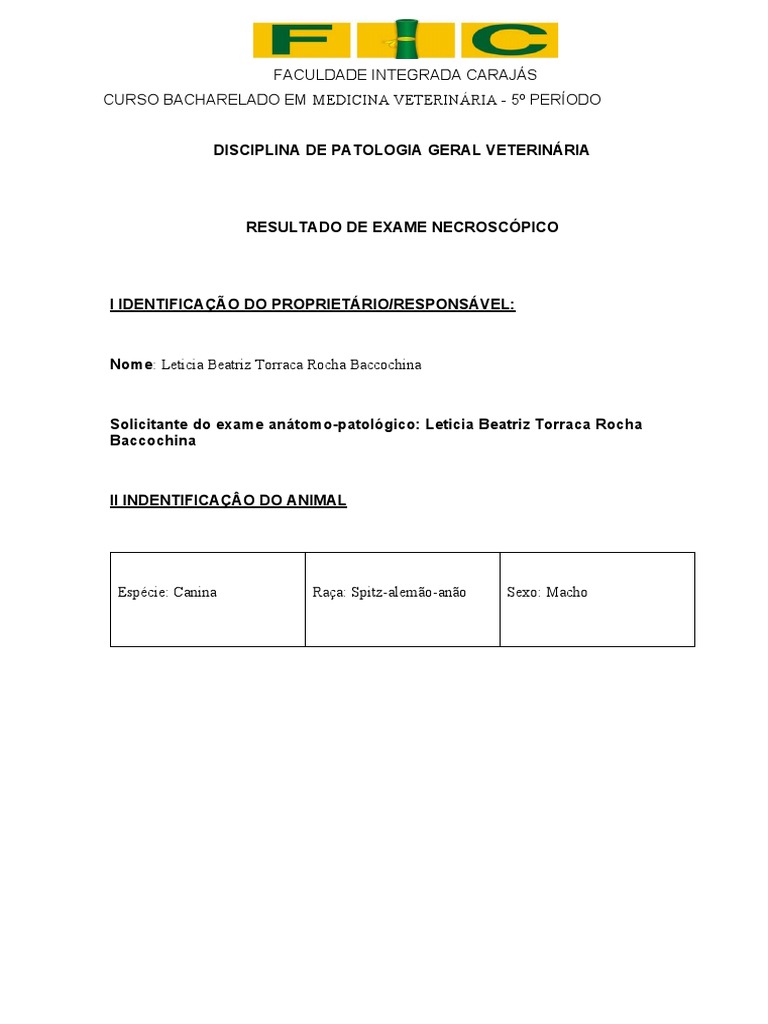 Laudo Necropsia | PDF