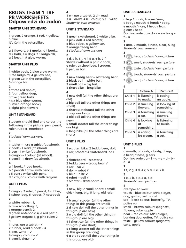 Bugs Team 1 TRF Odpowiedzi Do Zadan | PDF
