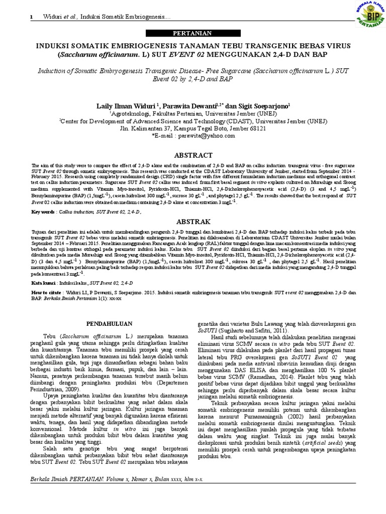 Induksi Somatik Embriogenesis Tebu SUT 02 | PDF | Reproduksi | Biologi ...