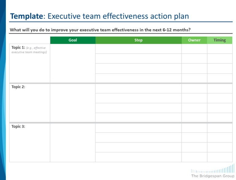 Action Plan - Effective Executive Team Effectiveness - Template PDF | PDF