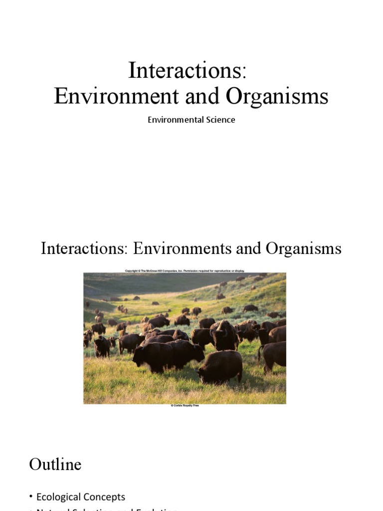 Ecology: Organism Interactions Explained | PDF | Ecosystem | Food Web