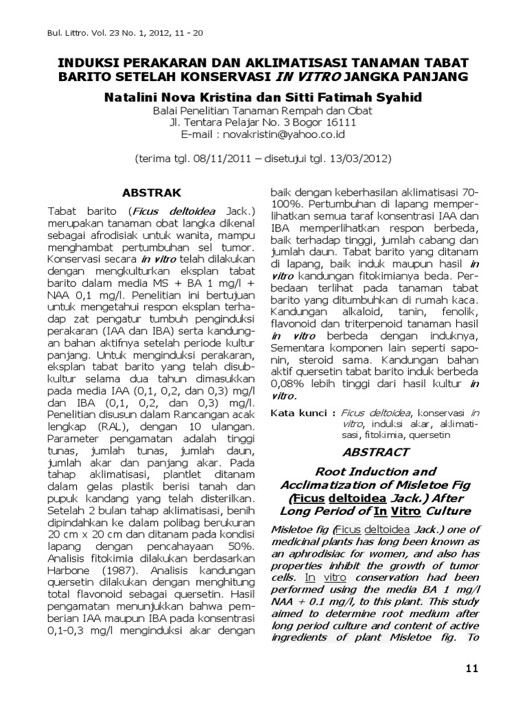 Induksi Perakaran Dan Aklimatisasi Tanaman | PDF