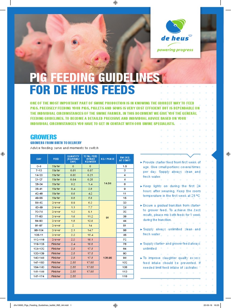 Pig Feeding Guidelines: For de Heus Feeds | PDF | Pig | Animals And Humans