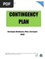 BDRRM Plan 2023 2025 | PDF