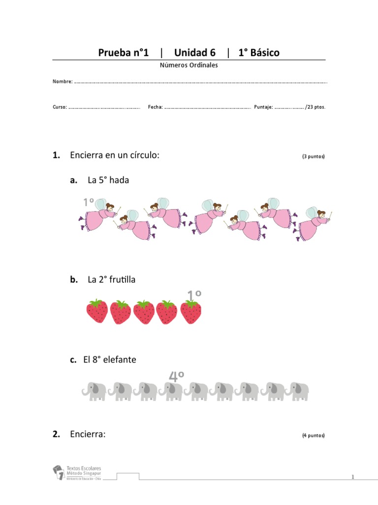 08 Evaluación Unidad 6 Primero Básico | PDF