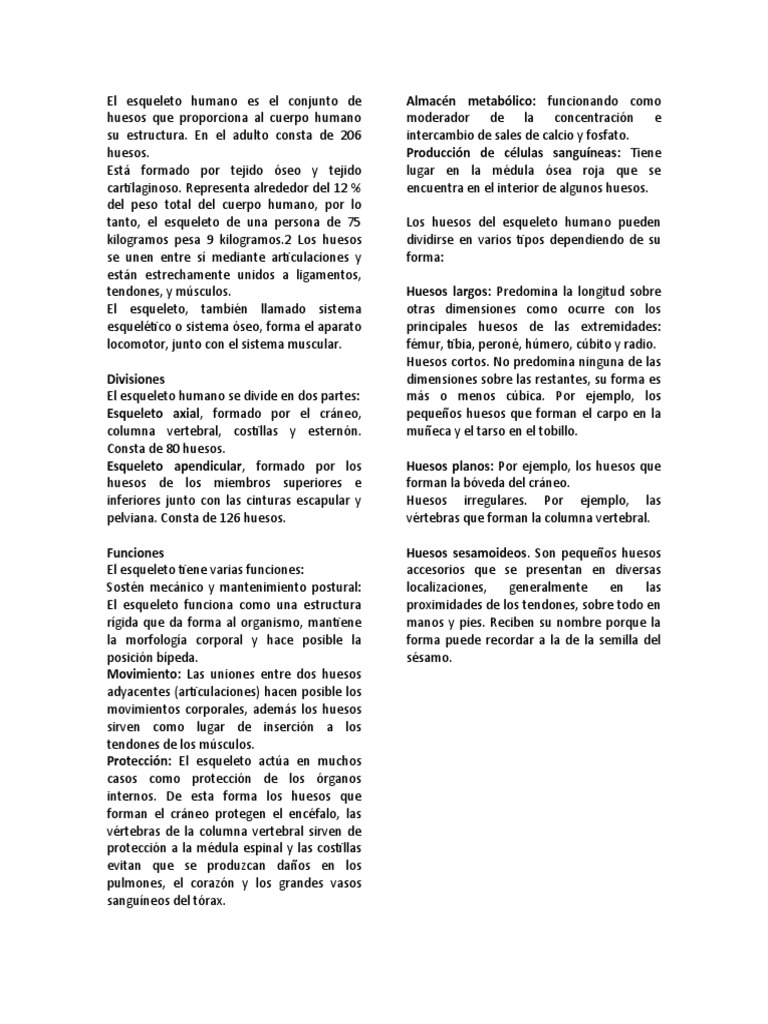 El Esqueleto Humano Es El Conjunto de Huesos Que Proporciona Al Cuerpo ...