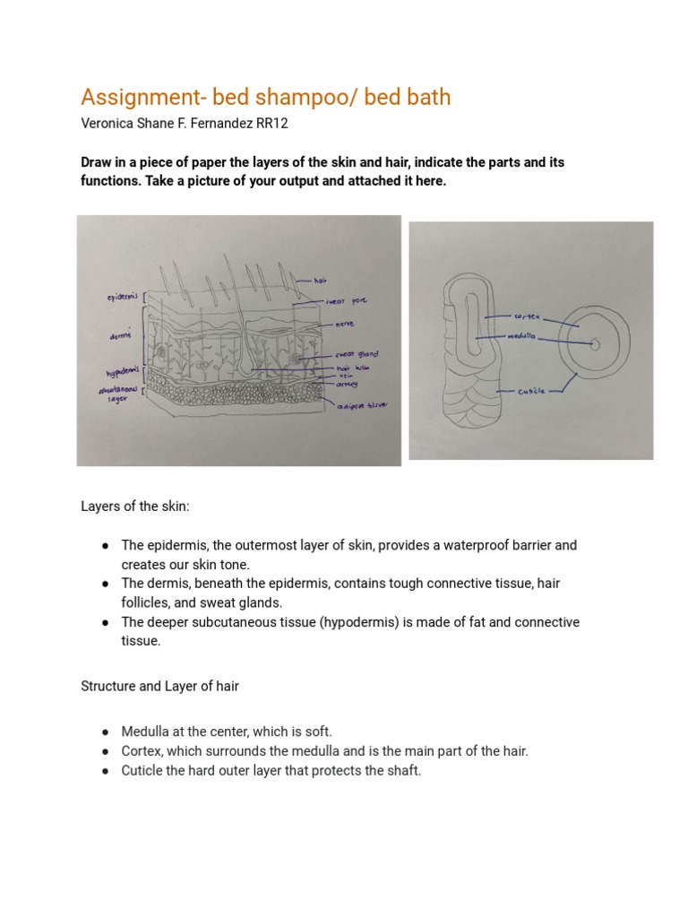 Assignment - Bed Shampoo - Bed Bath-Fernandez | PDF | Skin | Hair