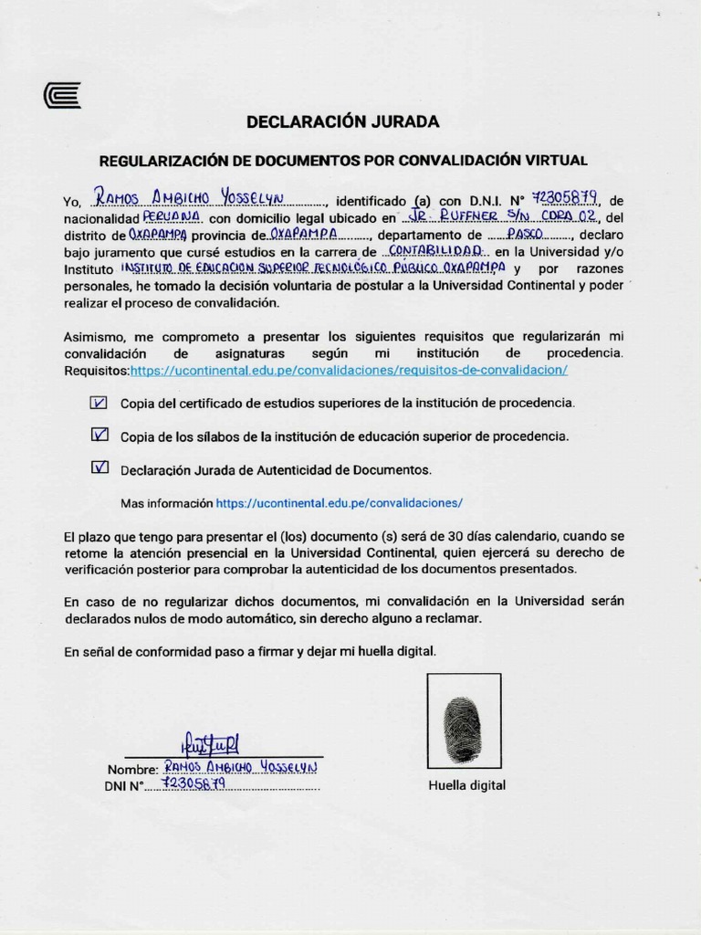 Declaracion Jurada de Regularizacion de Documentos PDF | PDF