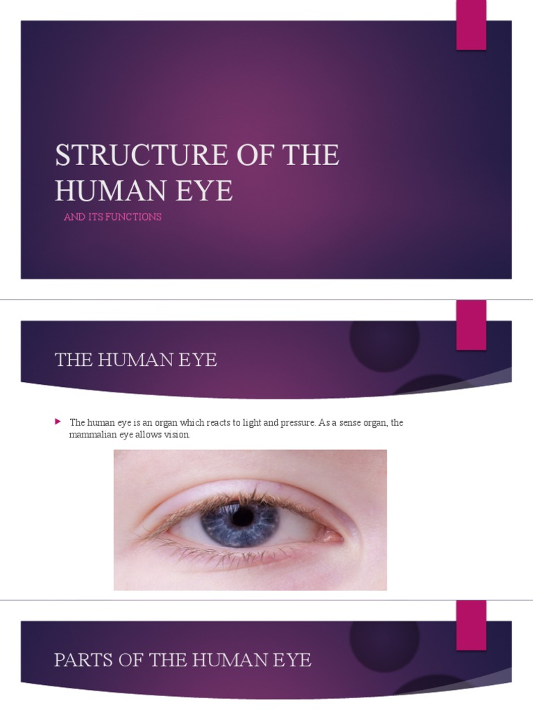 PRESENTATION ON THE STRUCTURE OF THE HUMAN EYE Biology | PDF