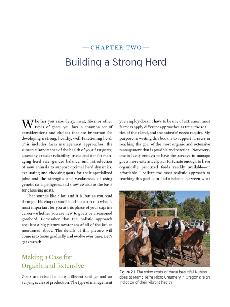 Holistic Goat Care Chapter 2: Building A Strong Herd | PDF | Goat | Herd